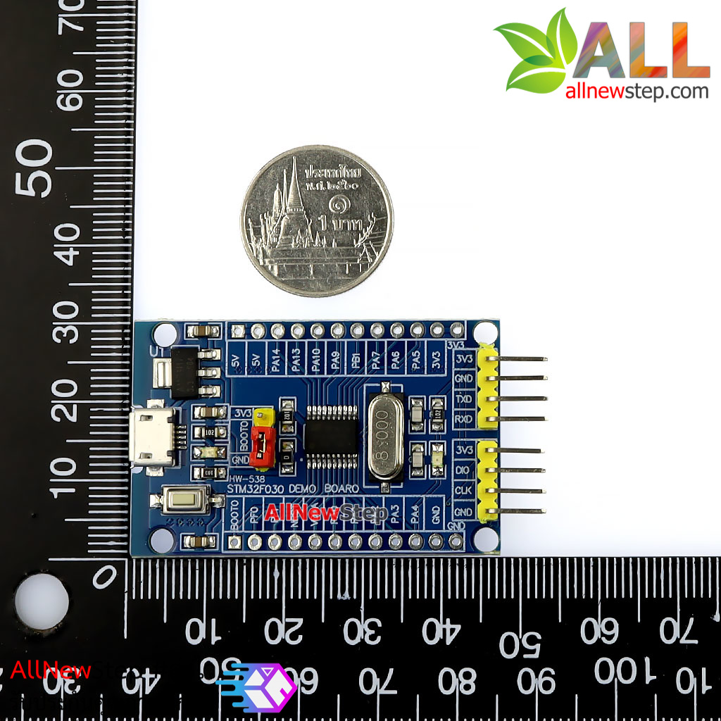 STM32F030F4P6 Small System Development Board CORTEX-M0 Core 32bit - ArduinoAll ขาย Arduino ซื้อ ...