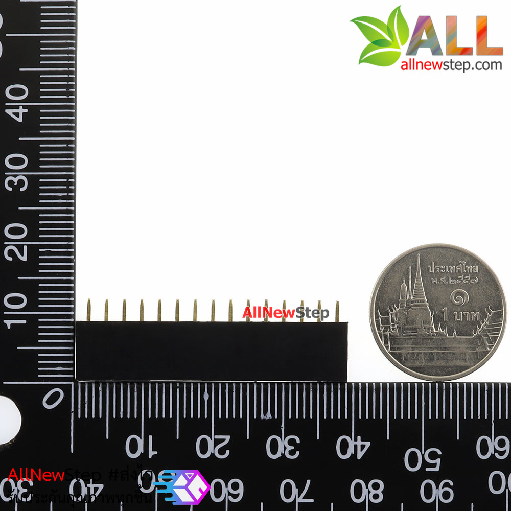 Pin header Single row 15p female 1x15P spacing 2.54mm จำนวน 1 ชิ้น ...