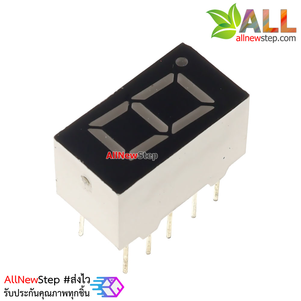 7 Segment 036 นิ้ว Common Cathode 1digit Red ไฟ 7 Segment 036 1 หลัก สีแดงแบบไฟลบร่วม 3161a